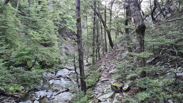 Day 46 – Top Timaru Hut to Pakituhi Hut – The Path Less Travelled